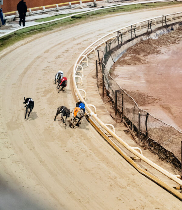 General Admission at Owlerton Stadium, Sheffield