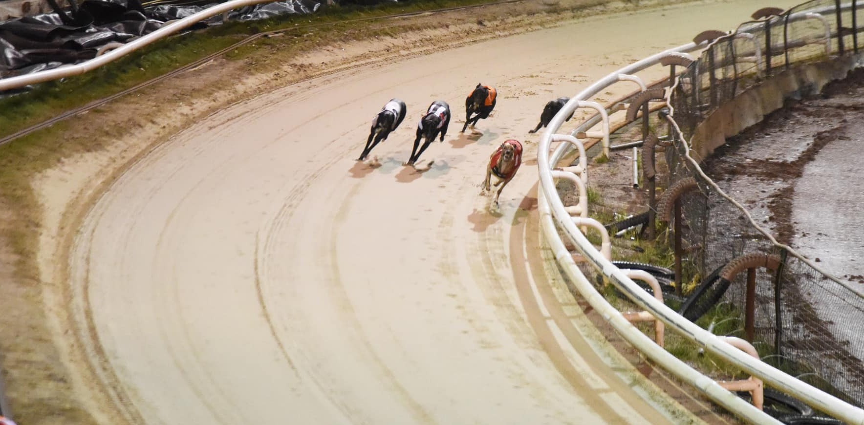 Exploring Types of Greyhound Racing | Owlerton Stadium