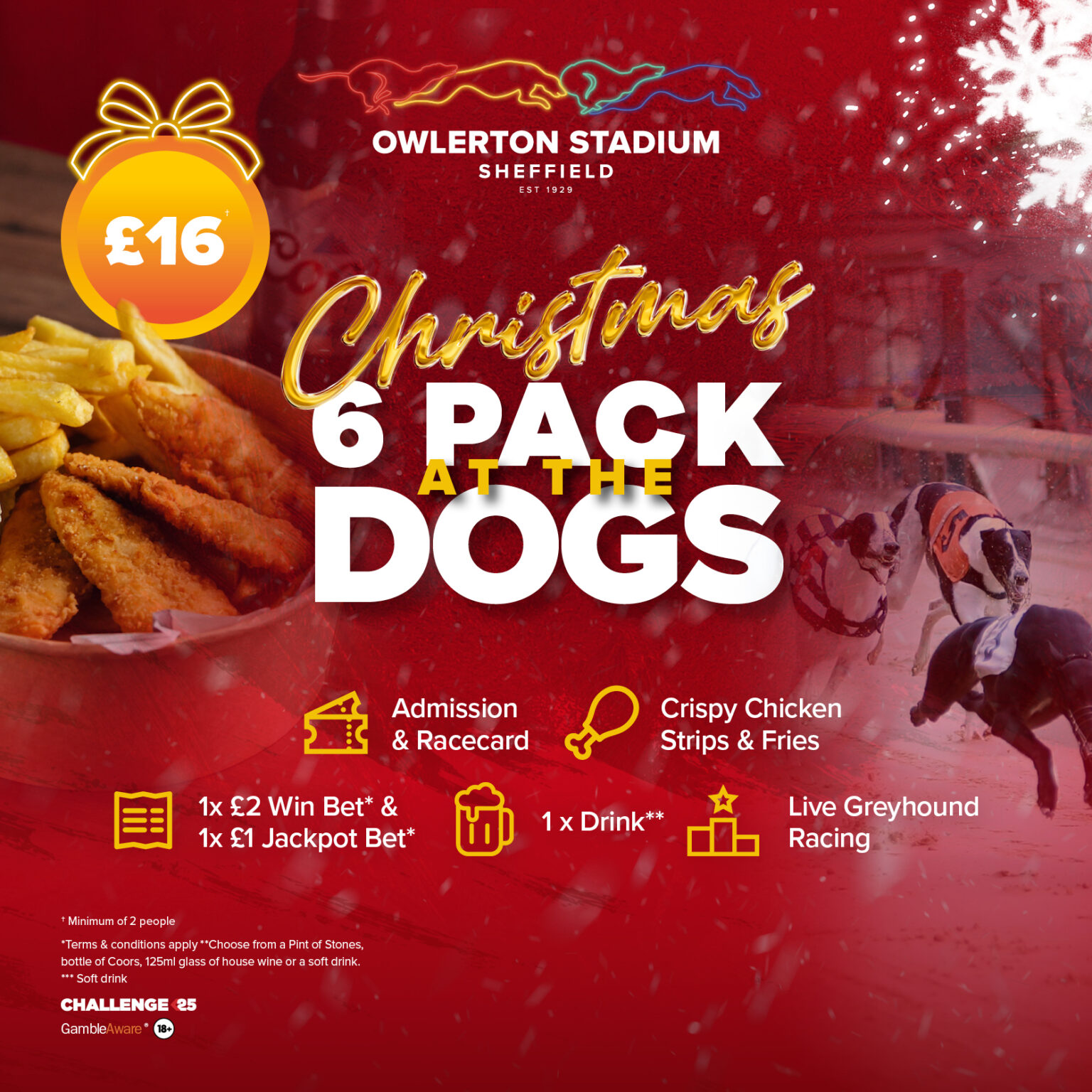 Trackside | Christmas at Owlerton Stadium
